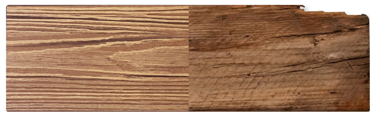 About Us – CITADEL